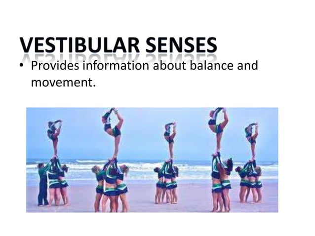 The Chemical, Skin & Kinesthesis and Vestibular Senses | PPTX | Perfume ...