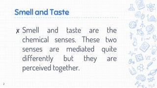 The chemical senses smell and taste | PPT