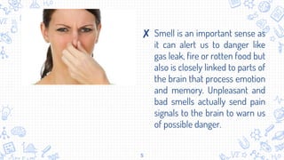 The chemical senses smell and taste | PPTX