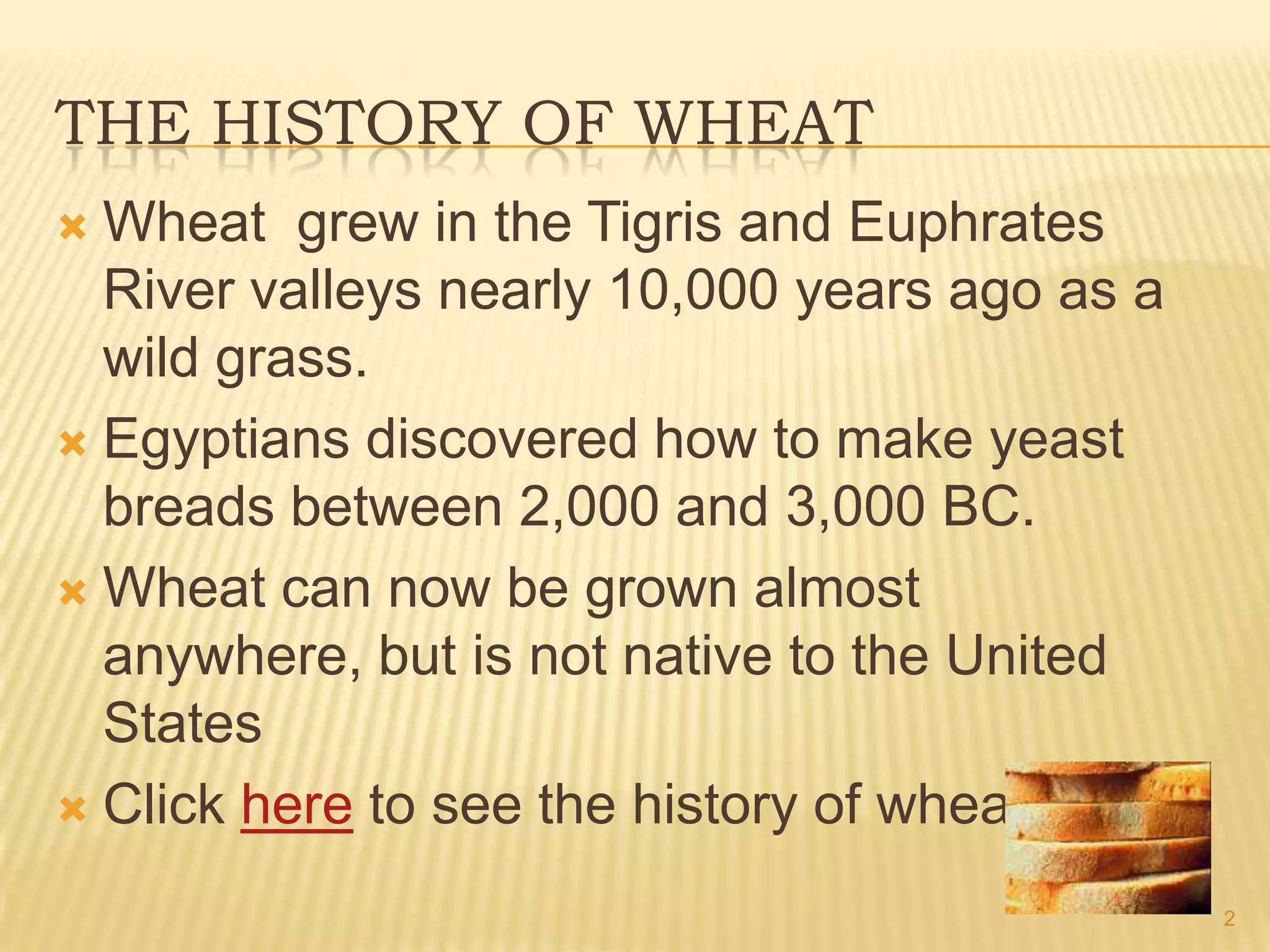 The Chemistry Of Baking Bread | PPTX