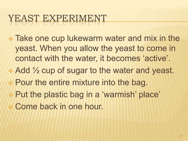 The Chemistry Of Baking Bread | PPTX