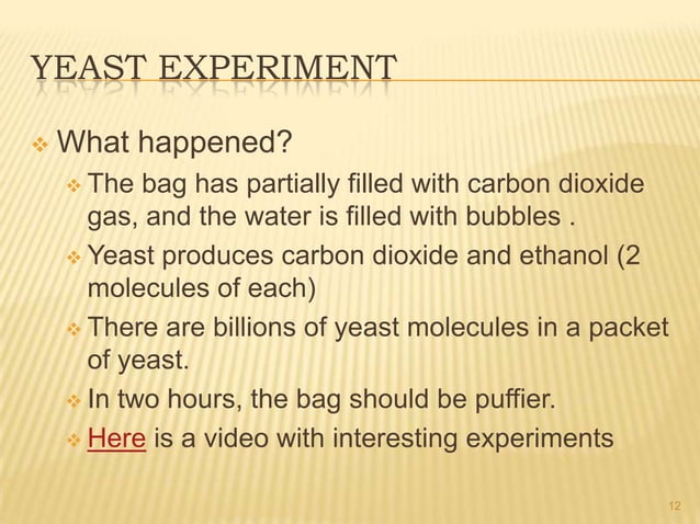 The Chemistry Of Baking Bread | PPTX