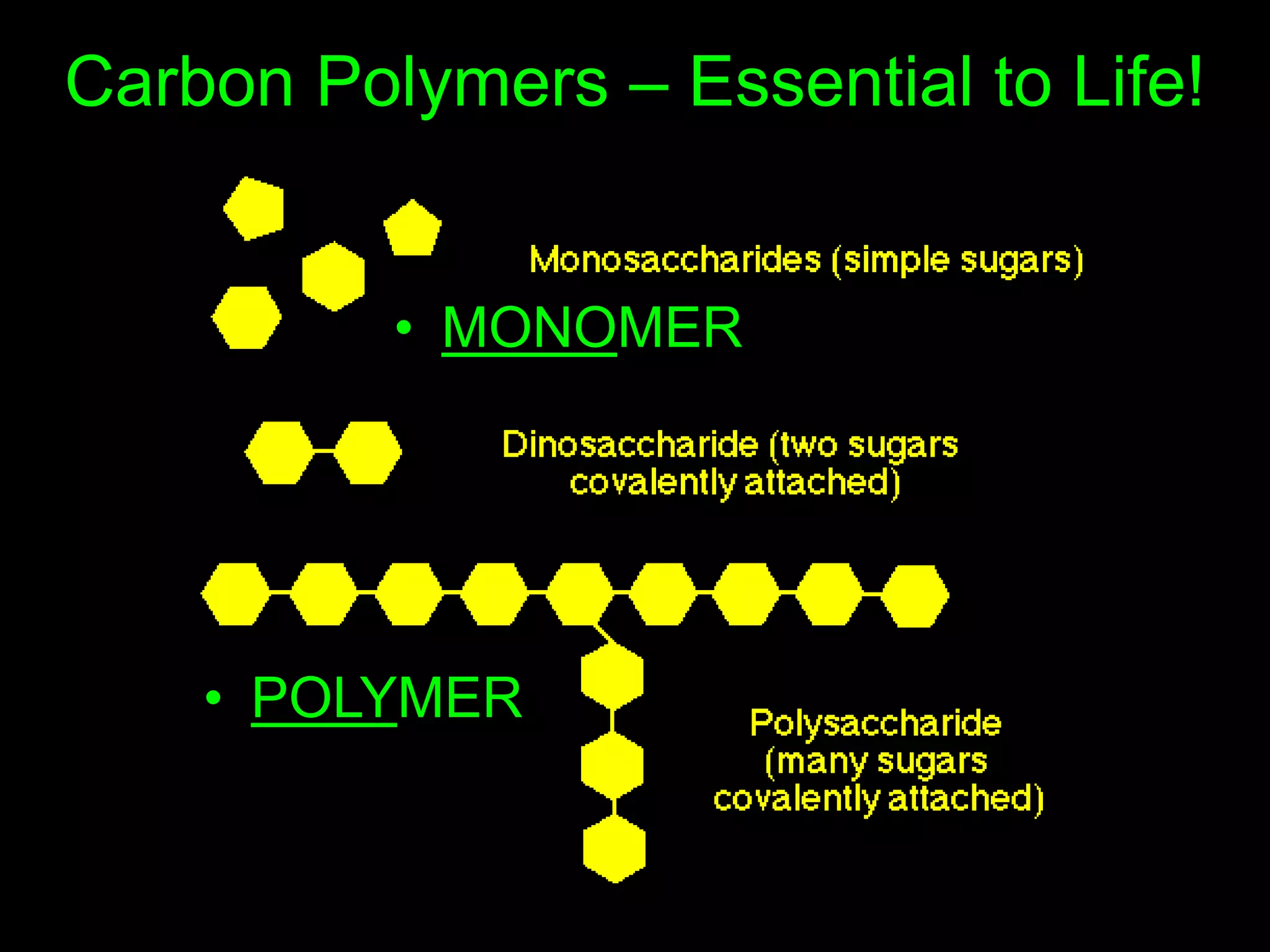 The Chemistry of Carbon (1).ppt