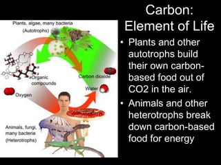 The Chemistry of Carbon (1).ppt