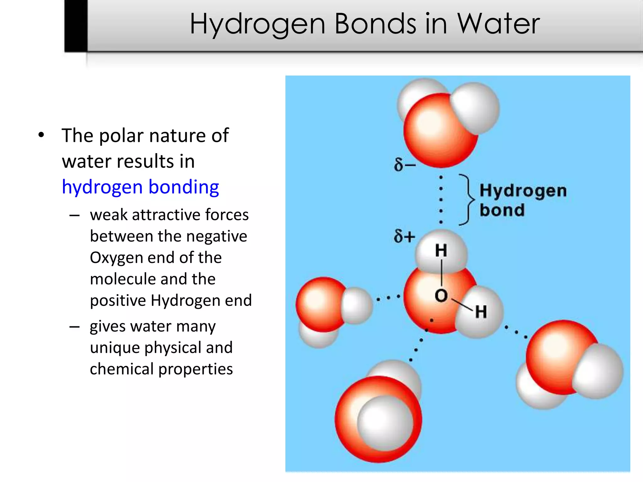 The Chemistry of H2O | PPT