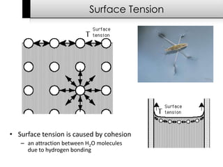 Cohesion Chemistry