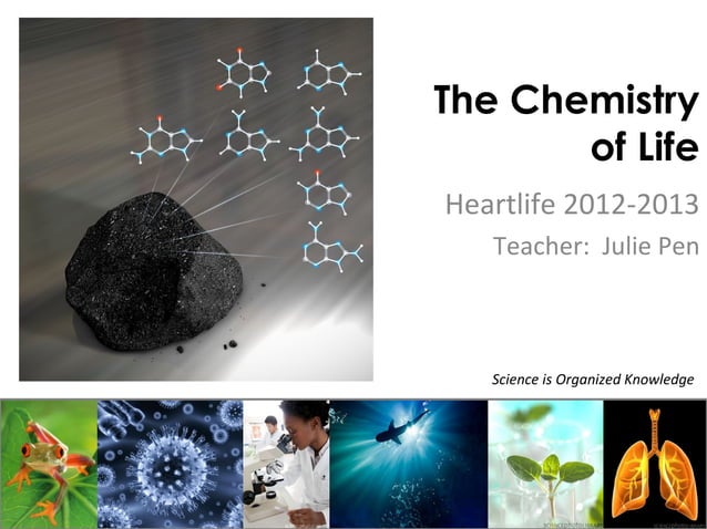 The Chemistry of Life | PPT