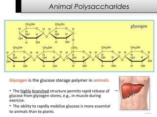 The Chemistry of Life | PPT