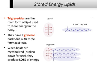 The Chemistry of Life | PPT