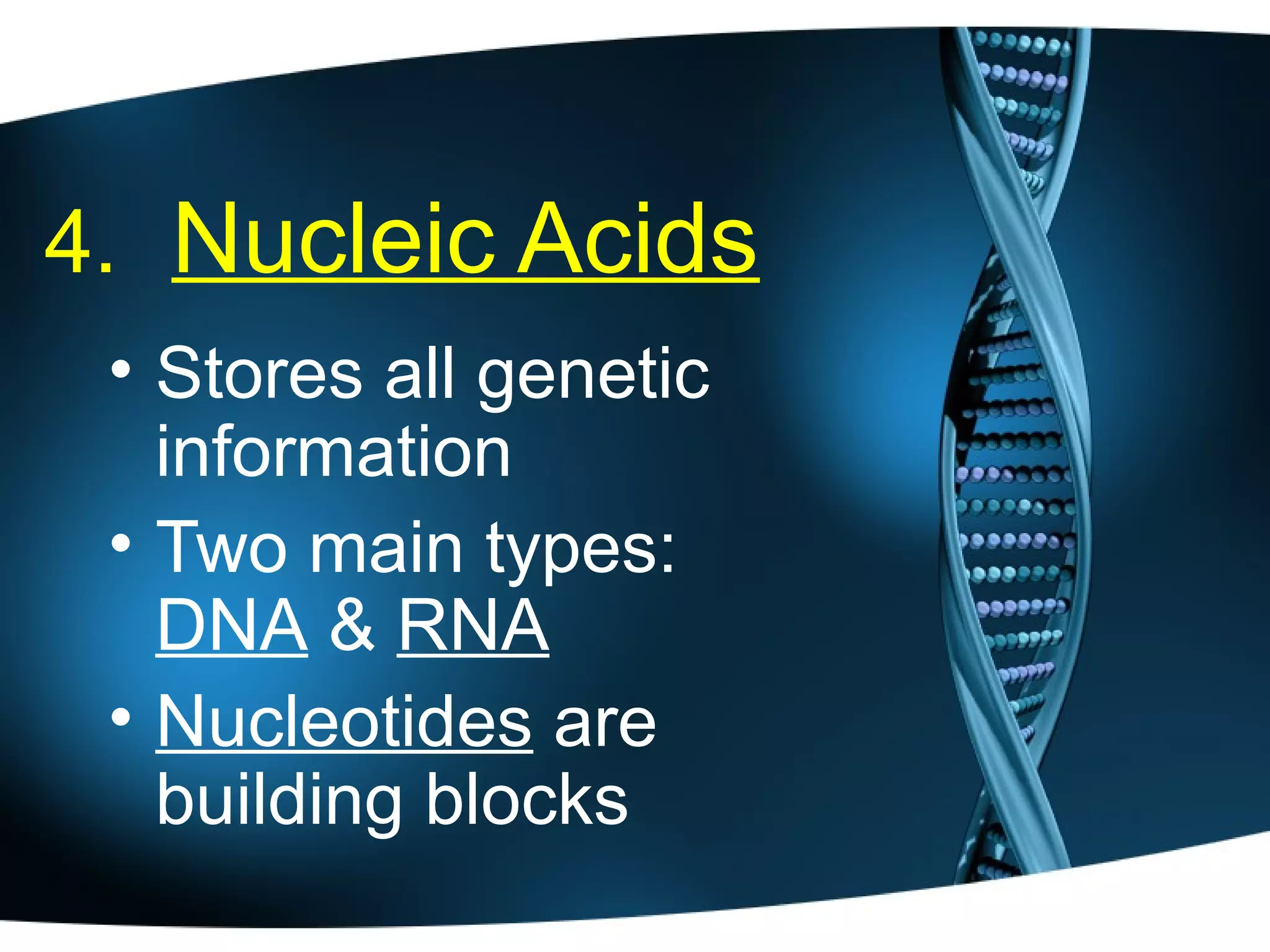 The Chemistry of Life | PPT