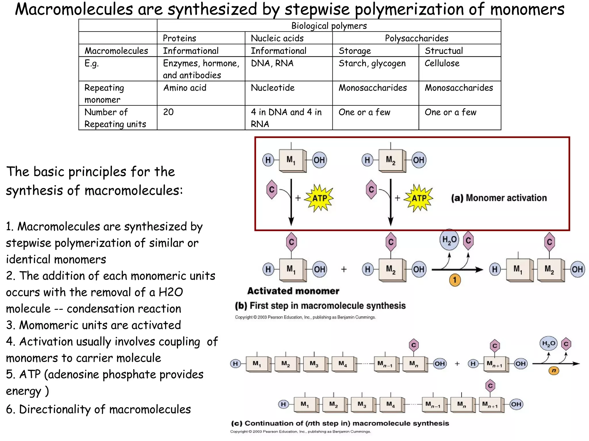 The Chemistry Of The Cell | PPT