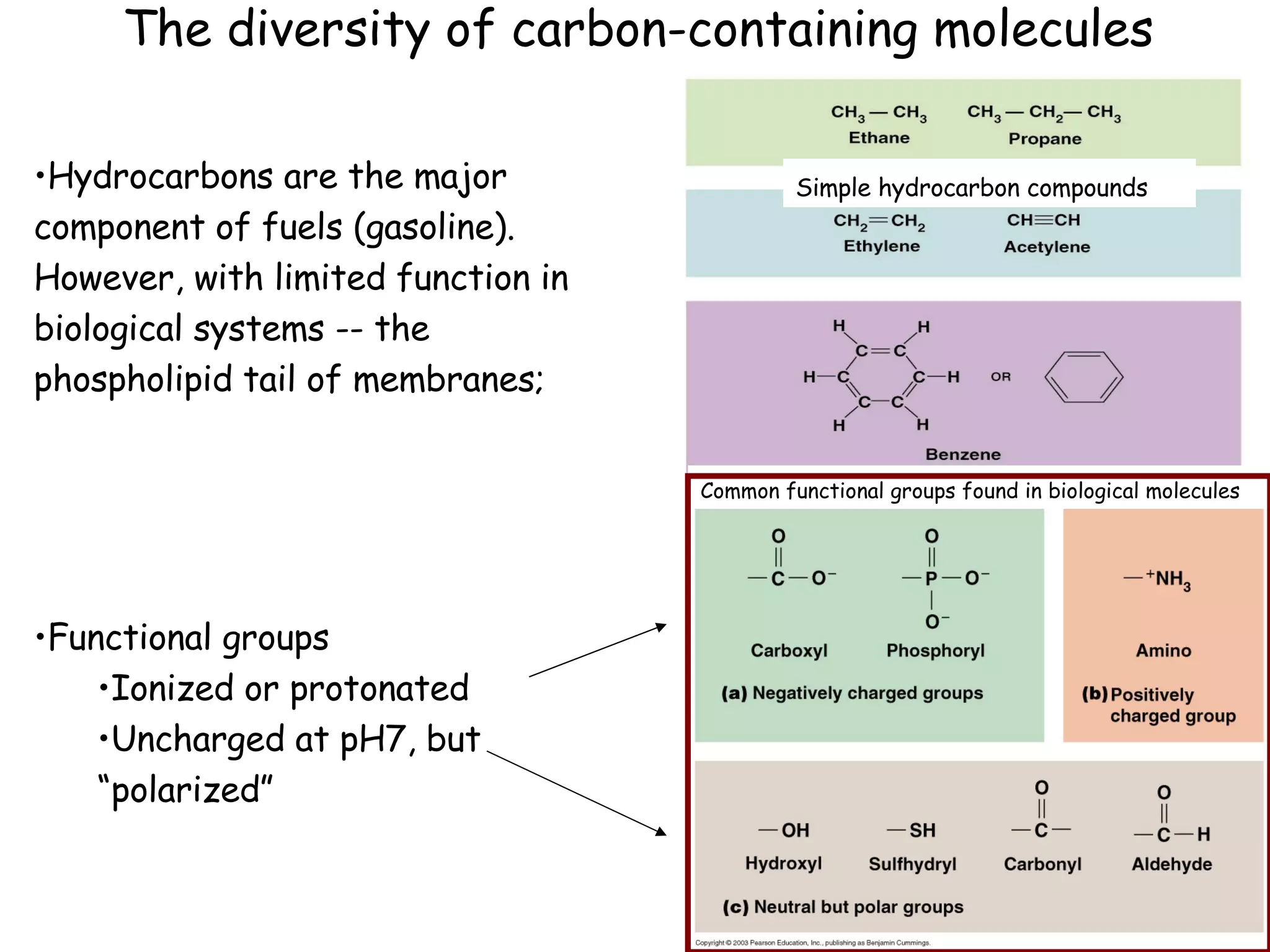 The Chemistry Of The Cell | PPT