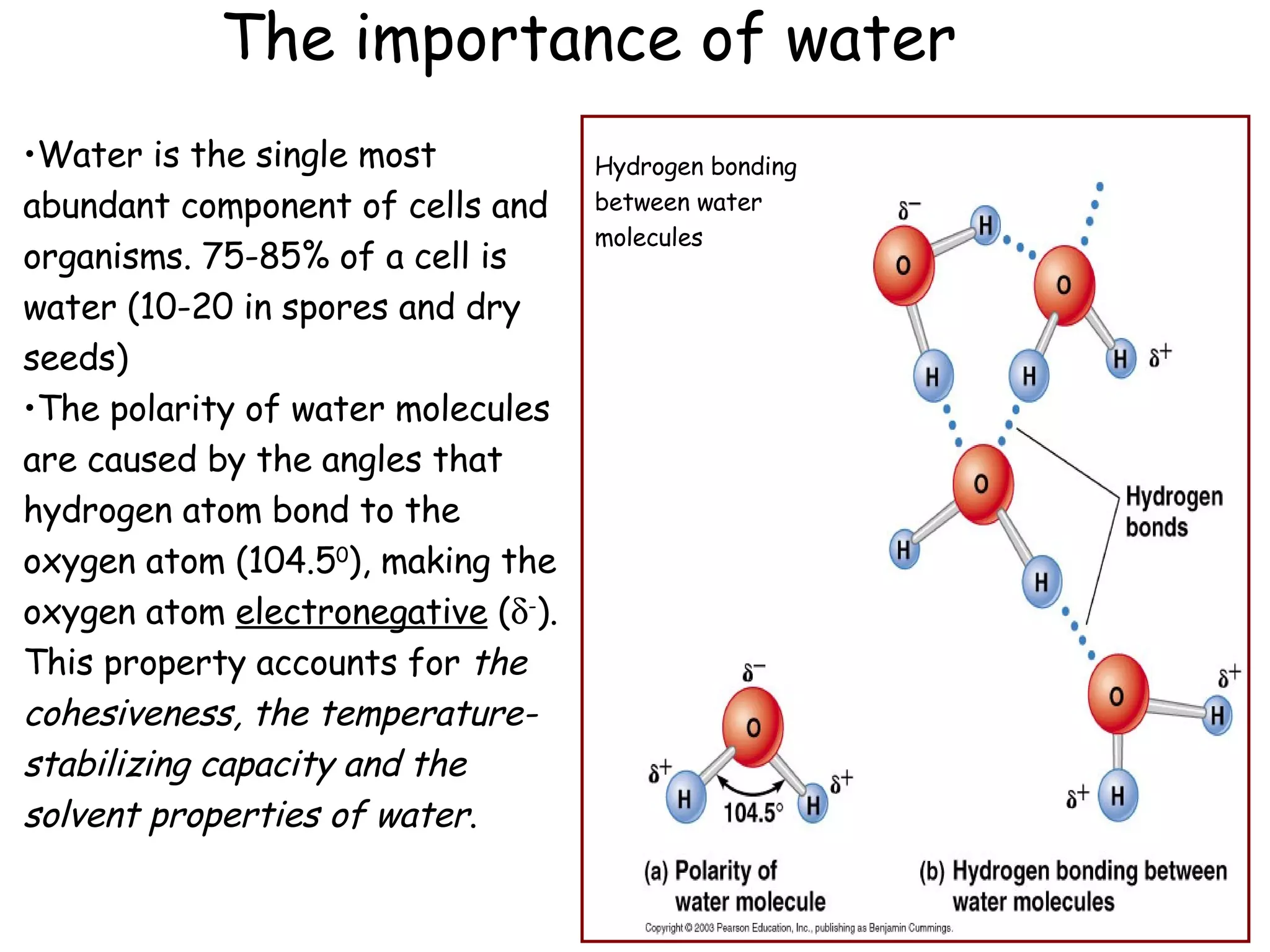 The Chemistry Of The Cell | PPT