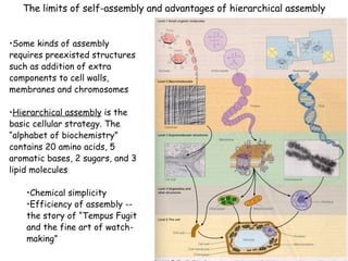 The Chemistry Of The Cell | PPT