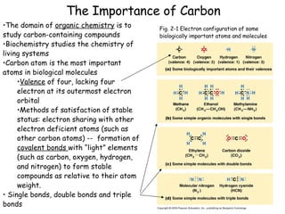 The Chemistry Of The Cell | PPT