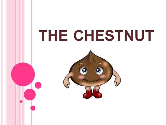 The chestnut | PPTX