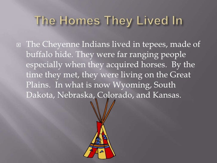 The cheyenne indians