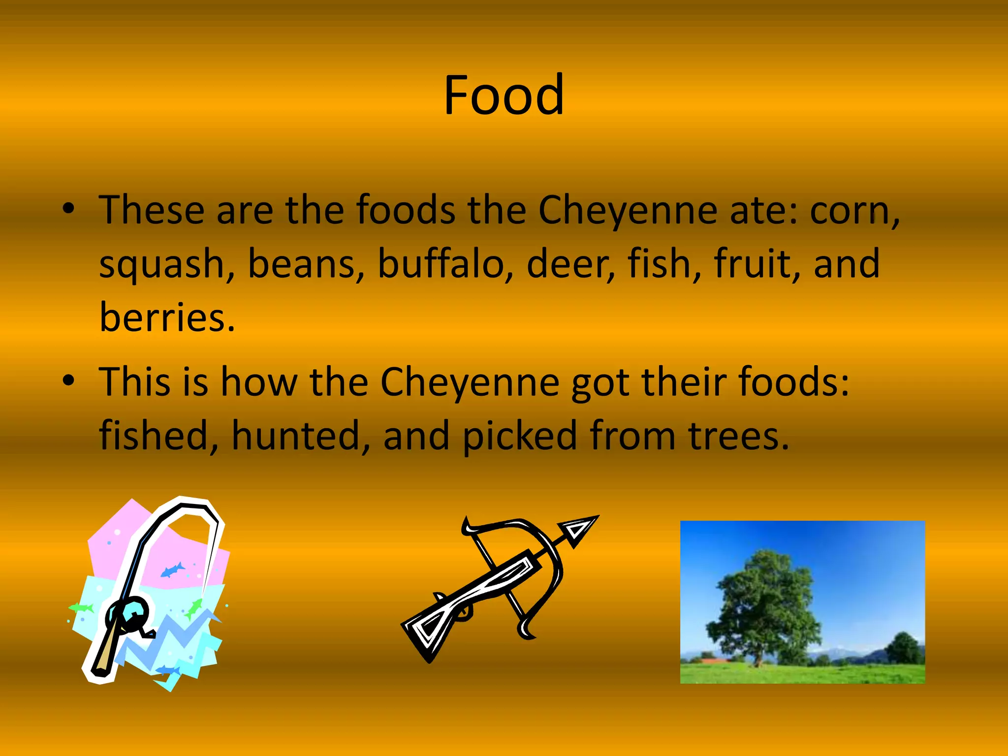 The Cheyenne Tribe | PPTX