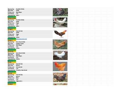 The Chicken Breed list with info.pdf
