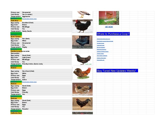 The Chicken Breed list with info.pdf