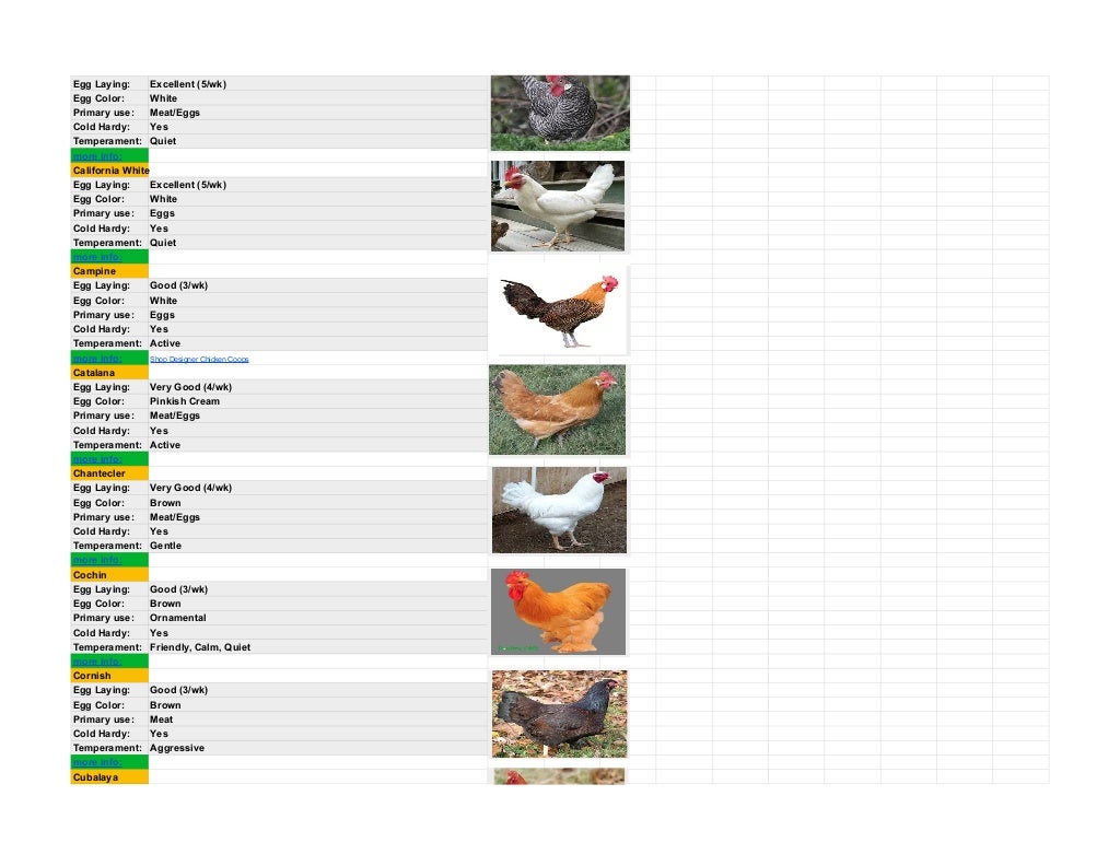 The Chicken Breed list with info.pdf