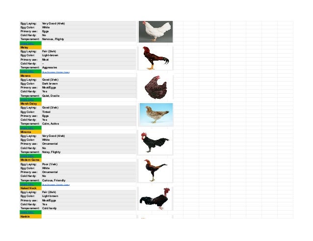 The Chicken Breed list with info.pdf