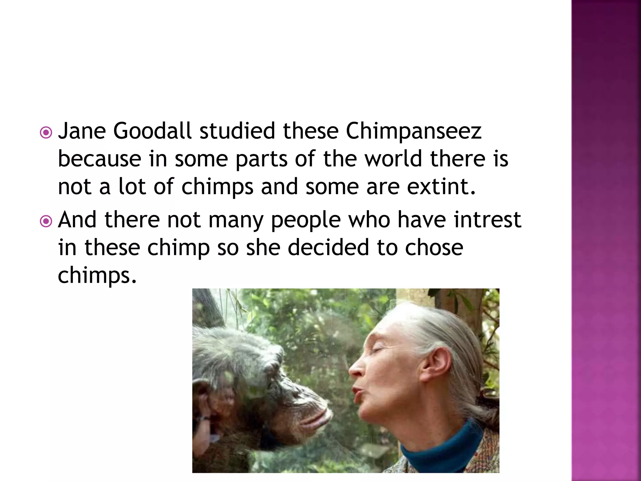 The chimpanzee | PPTX