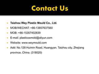 The China Mold Maker for Plastic Projects | PPTX