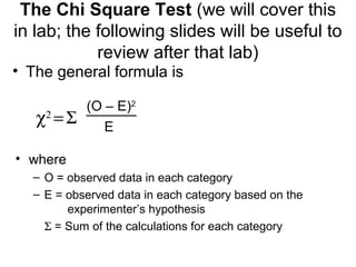 The chi square_test | PPT
