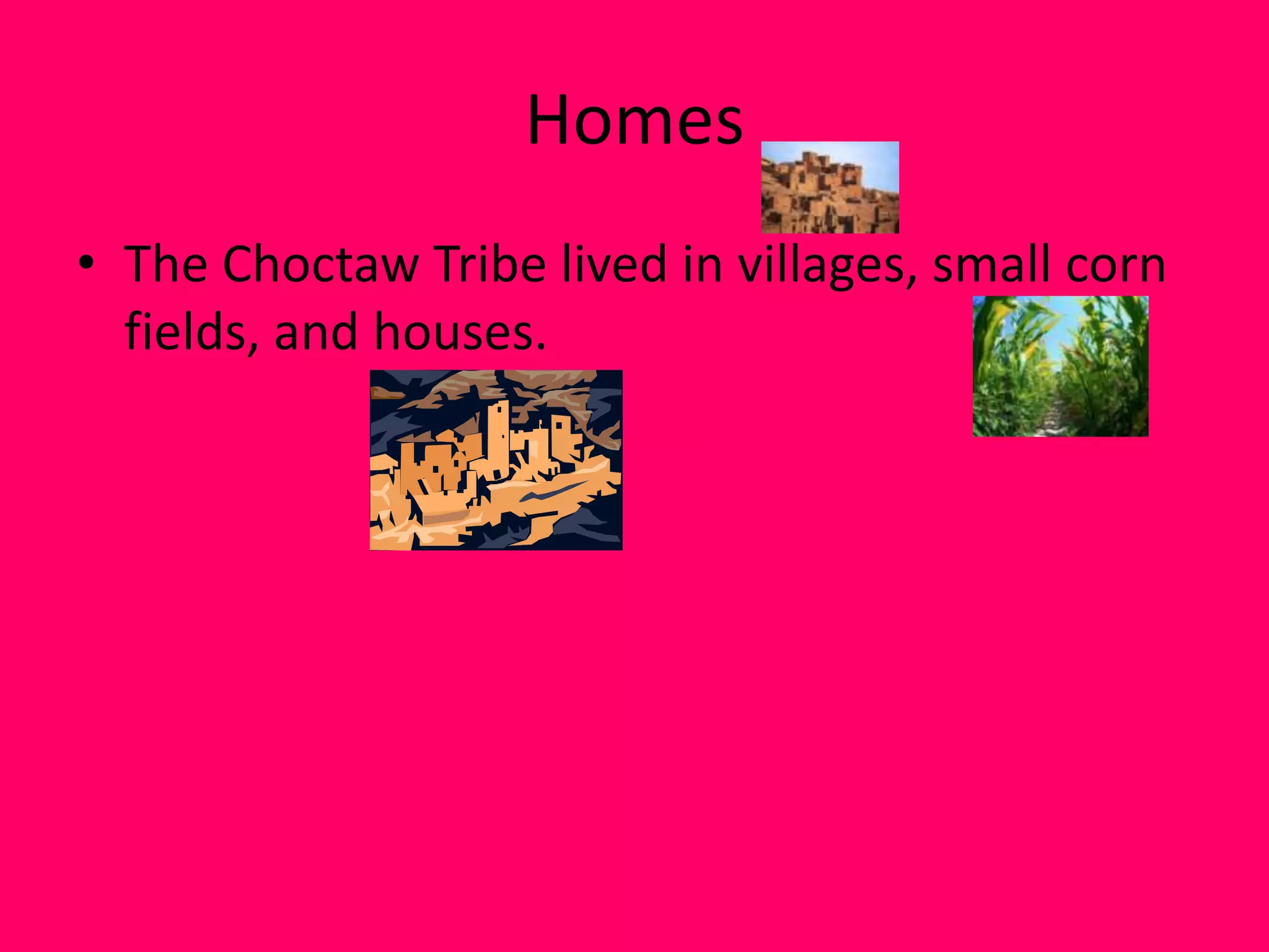 The Choctaw Tribe | PPTX