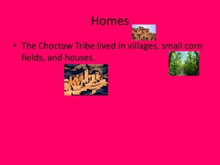 The Choctaw Tribe | PPTX