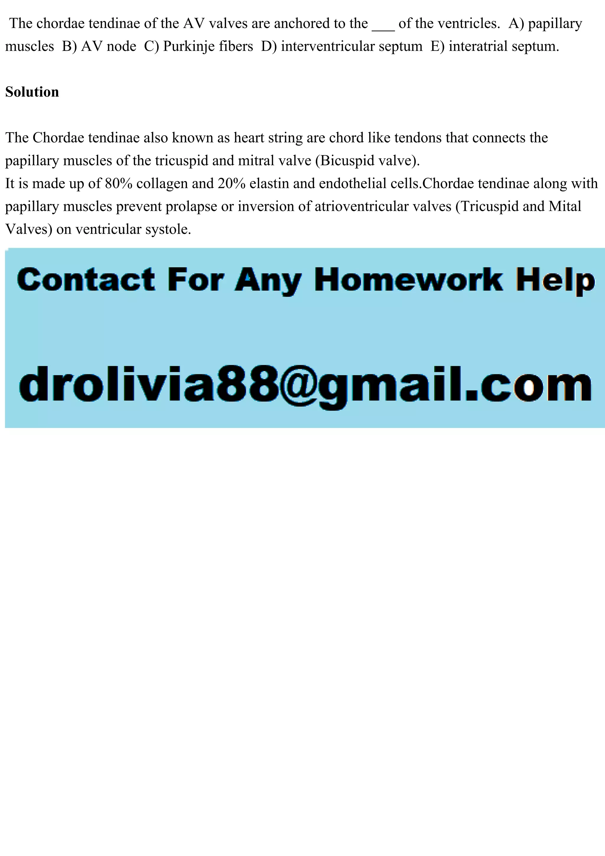 The chordae tendinae of the AV valves are anchored to the ___ of the .pdf