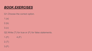 The Christmas Feast.pptx