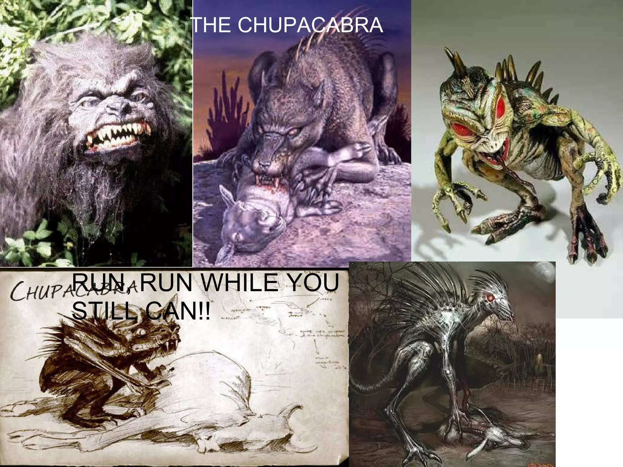 The Chupacabra | PPT