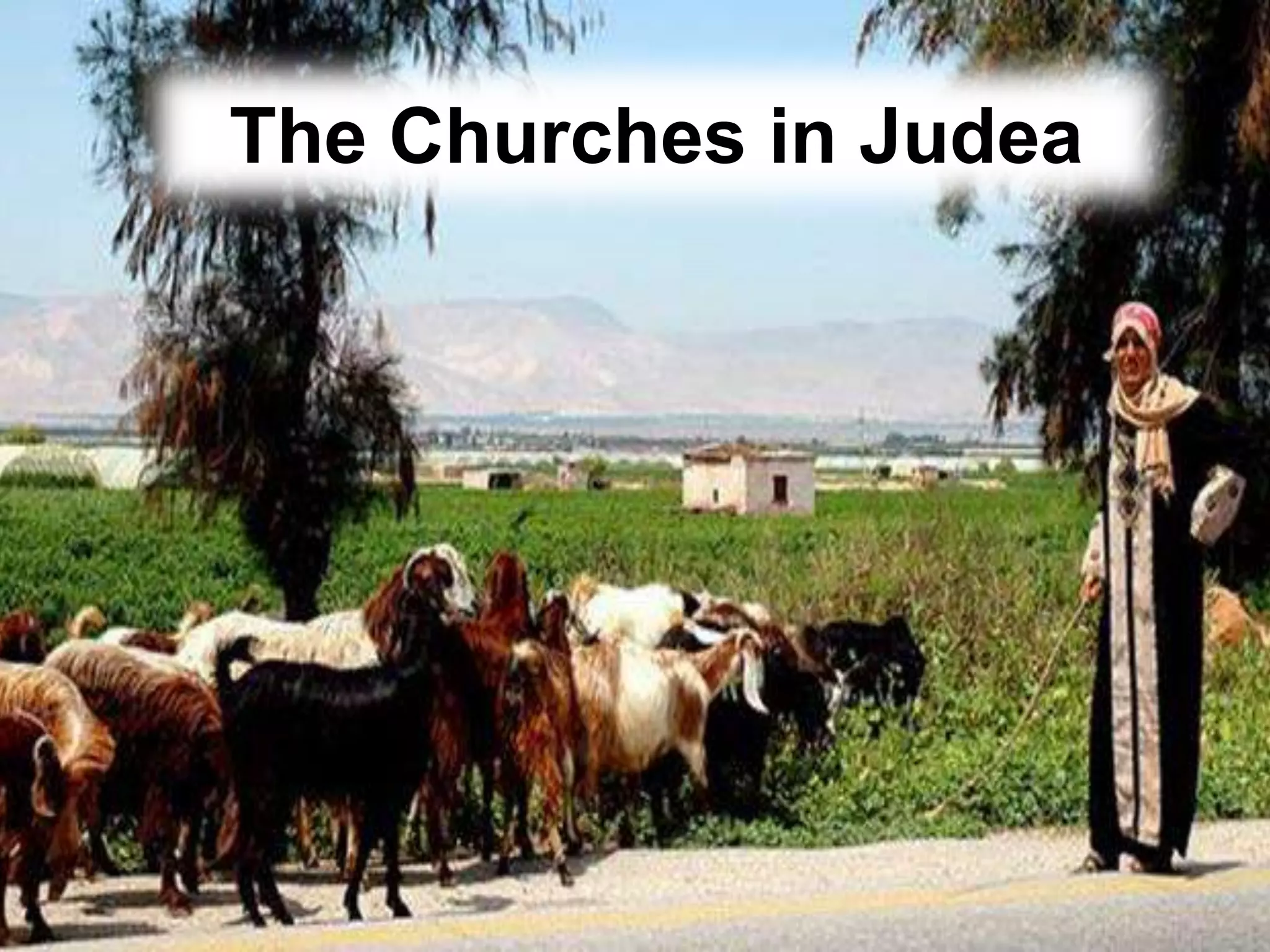 The churches in judea | PPTX