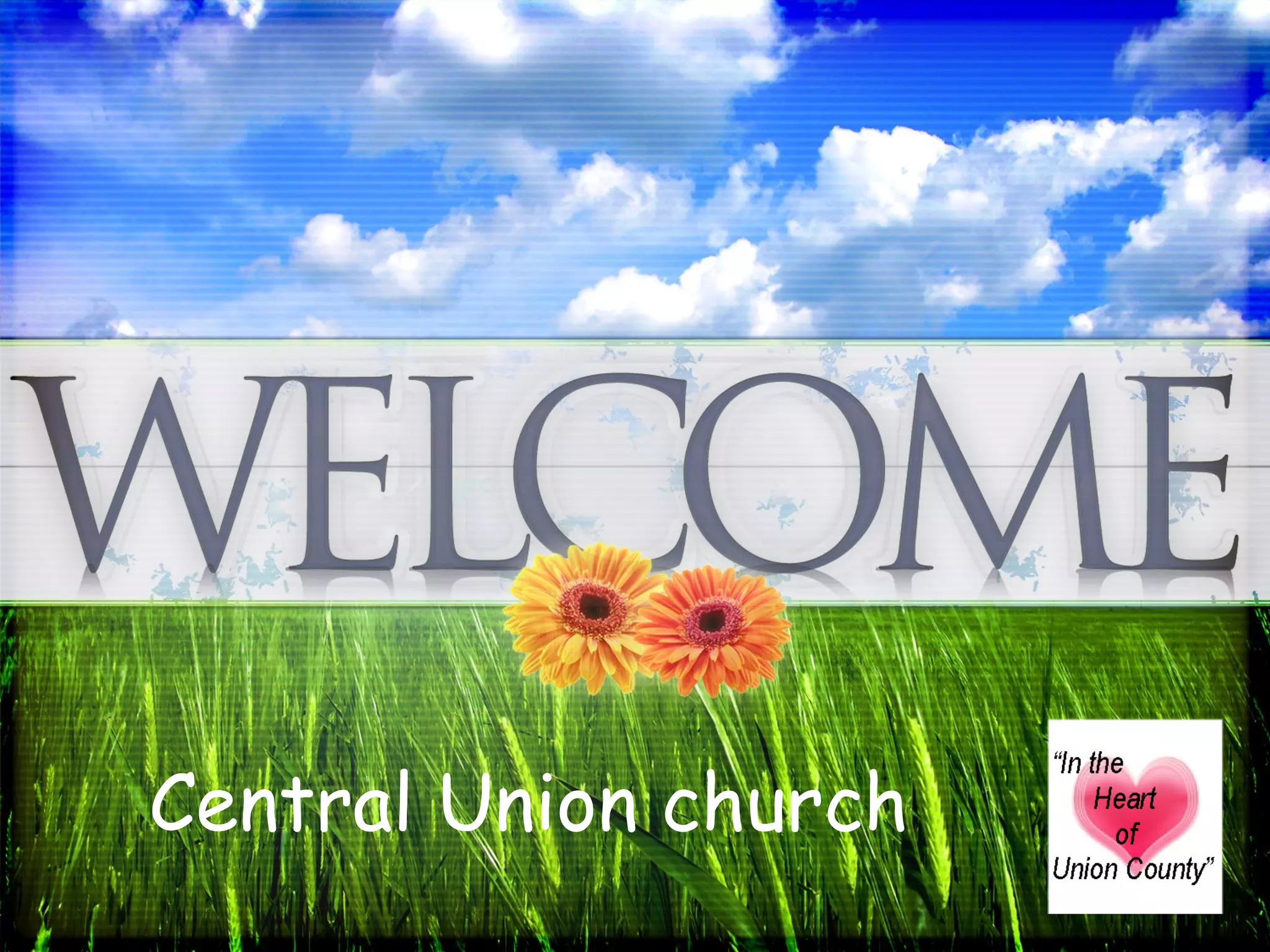 The church god's holy priesthood | PPT