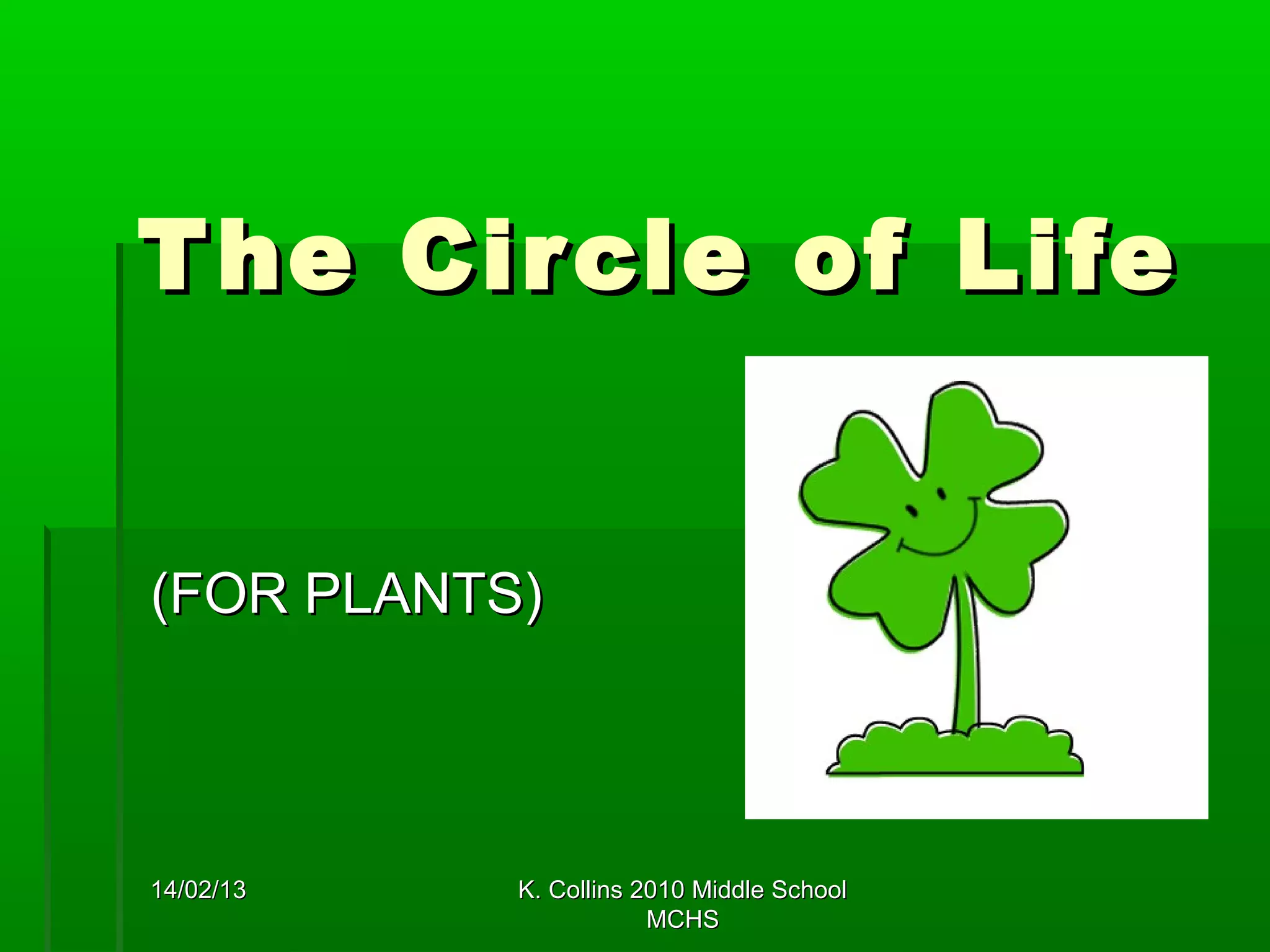 The circle of life seeds and germination | PPT