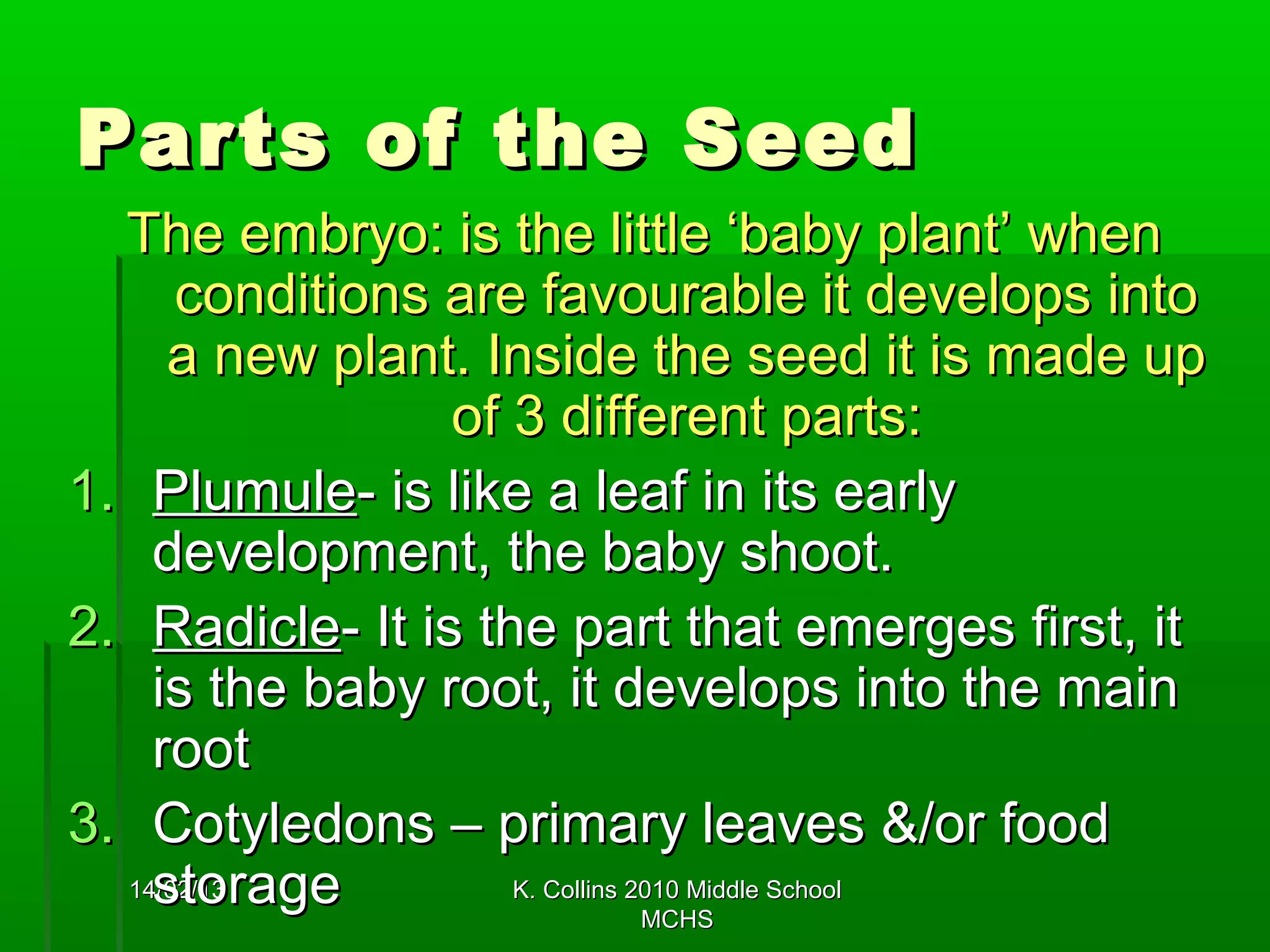 The circle of life seeds and germination | PPT