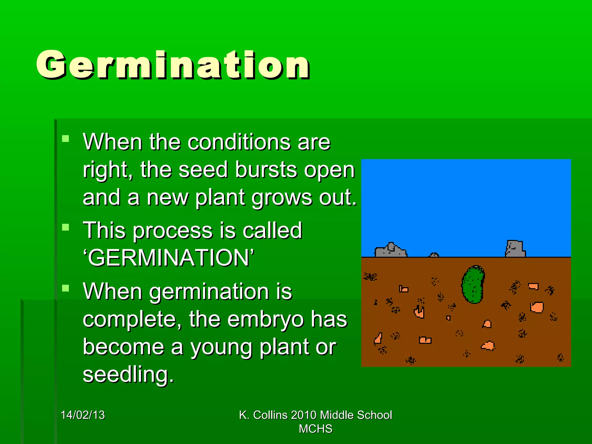 The circle of life seeds and germination | PPT