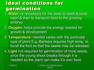 The circle of life seeds and germination | PPT