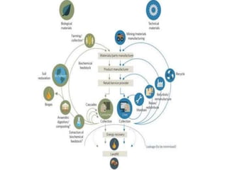 The circular economy introduction | PPTX