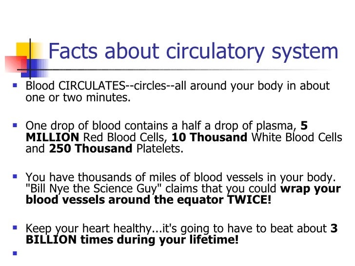 Interesting Circulation