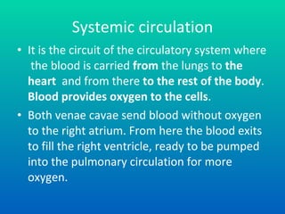 The circulatory system | PPT