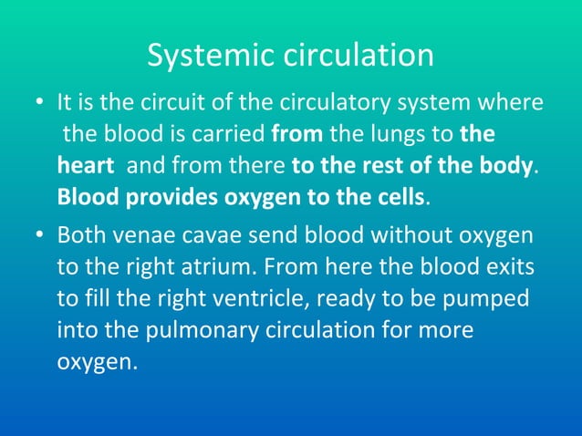 The circulatory system | PPT