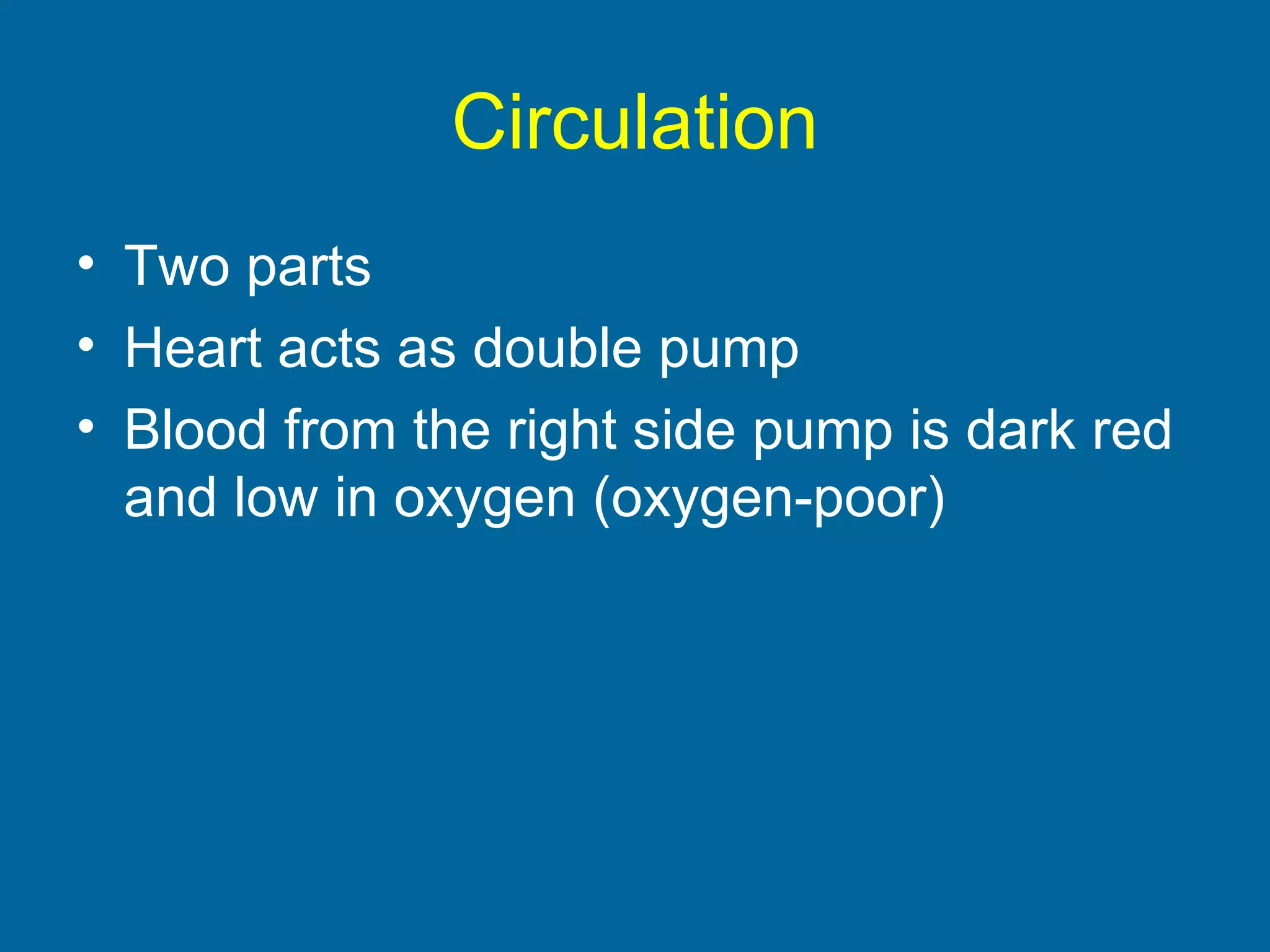 The circulatory system | PPT
