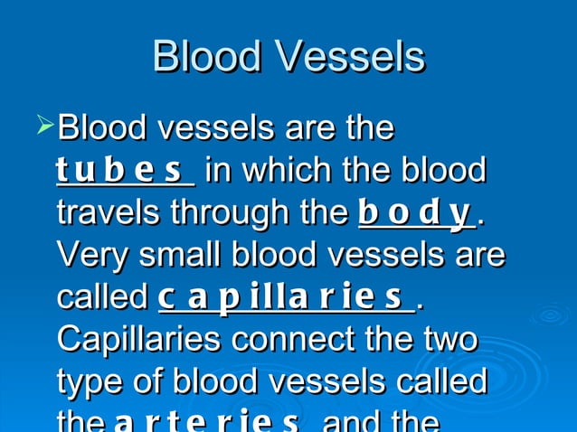 The circulatory system | PPT | Heart and Cardiovascular Diseases ...