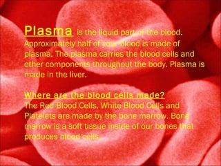 The circulatory system | PPT