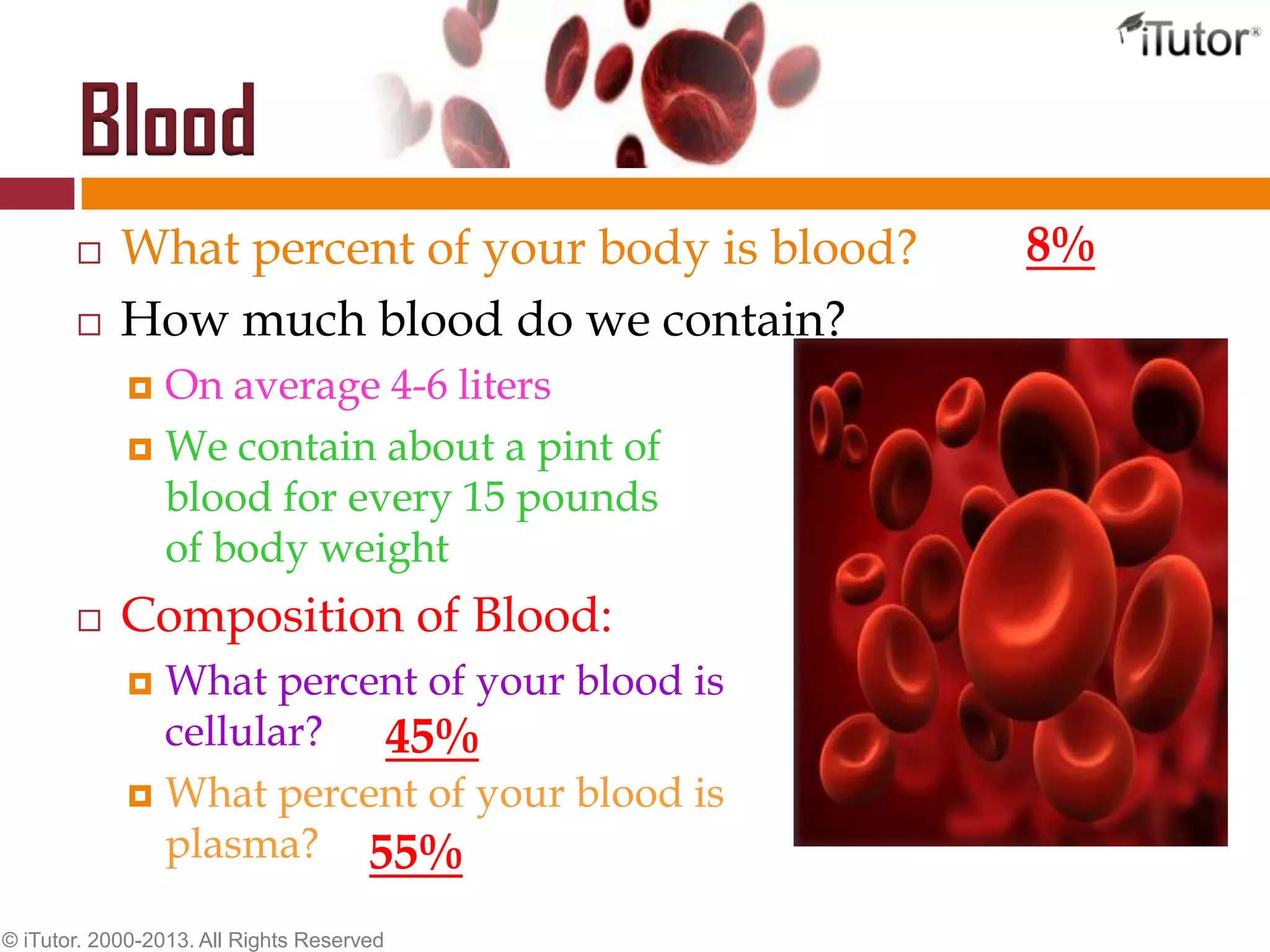 The Circulatory System | PPTX