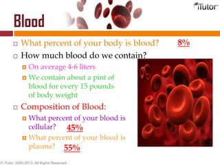 The Circulatory System | PPTX