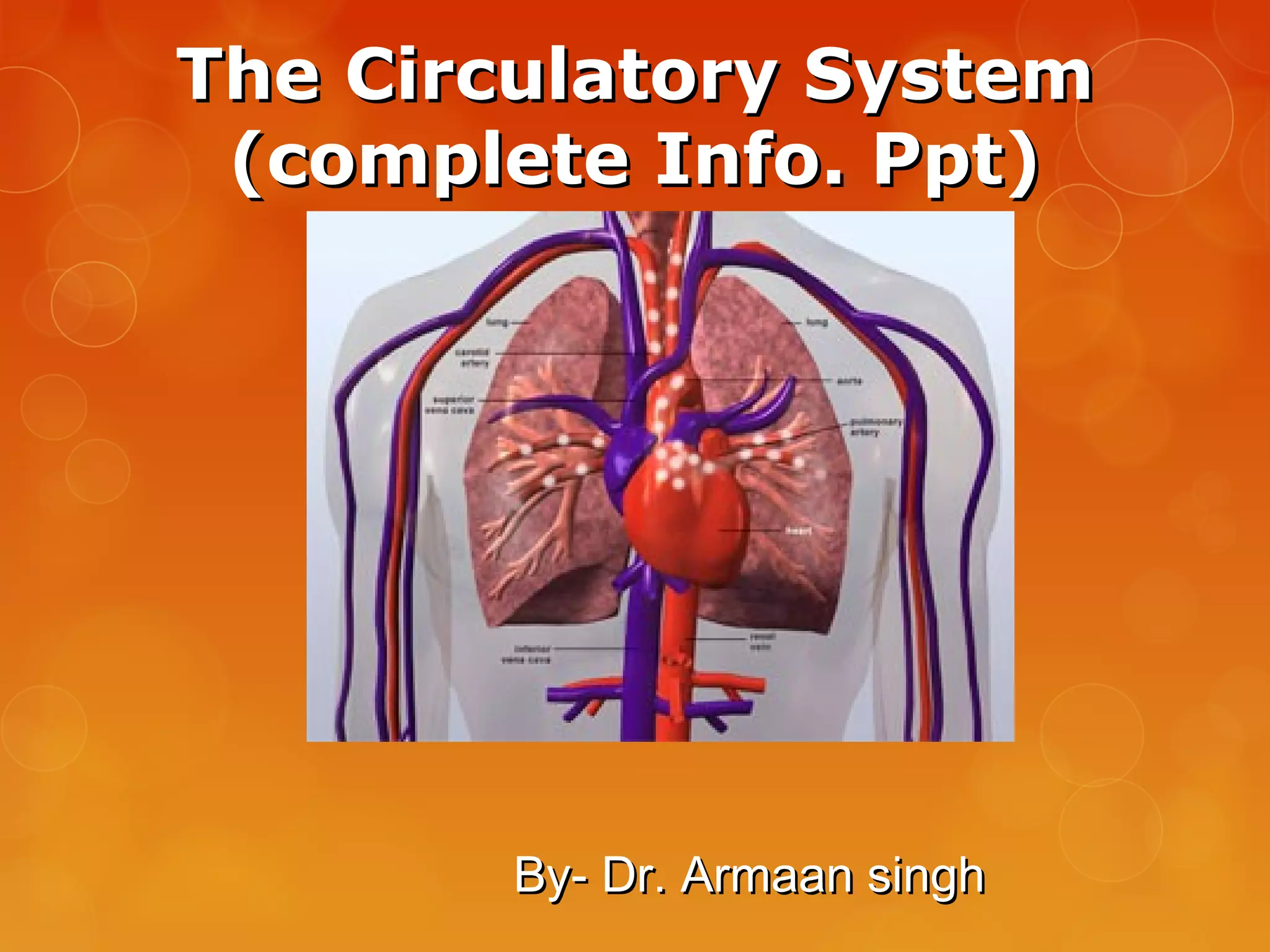The circulatory system complete Info ppt | PPT